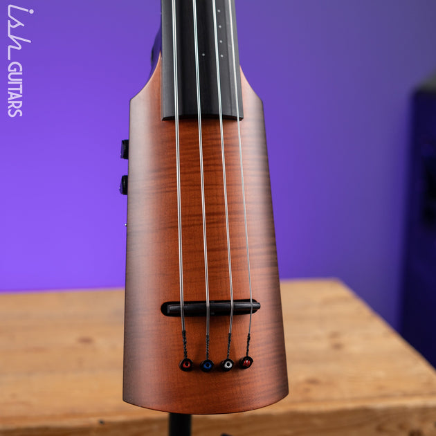 NS Designs – Ish Guitars