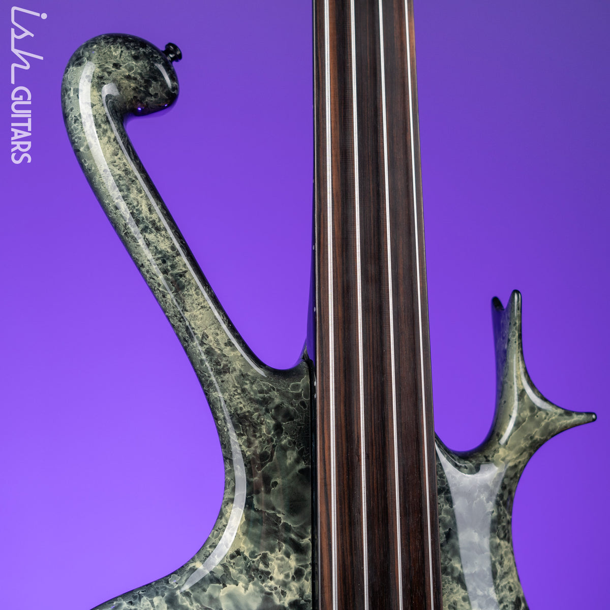 2002 Ritter Raptor Fretless 4-String Bass Marble – Ish Guitars