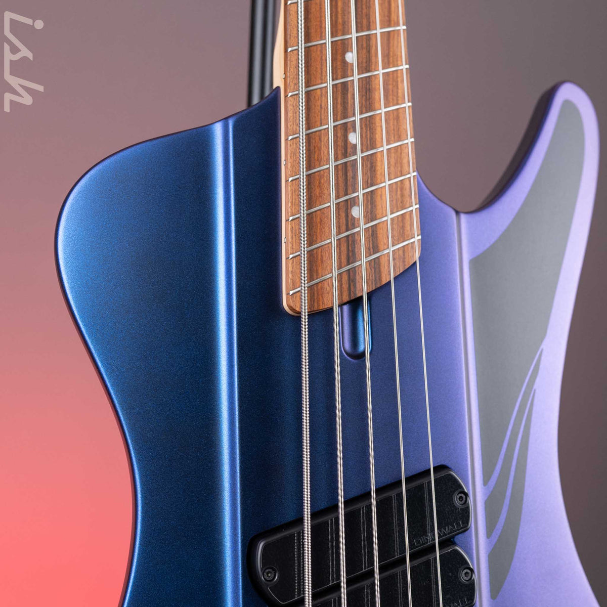 Dingwall D-Roc Standard 5-String Matte Blue to Purple Colorshift – Ish ...