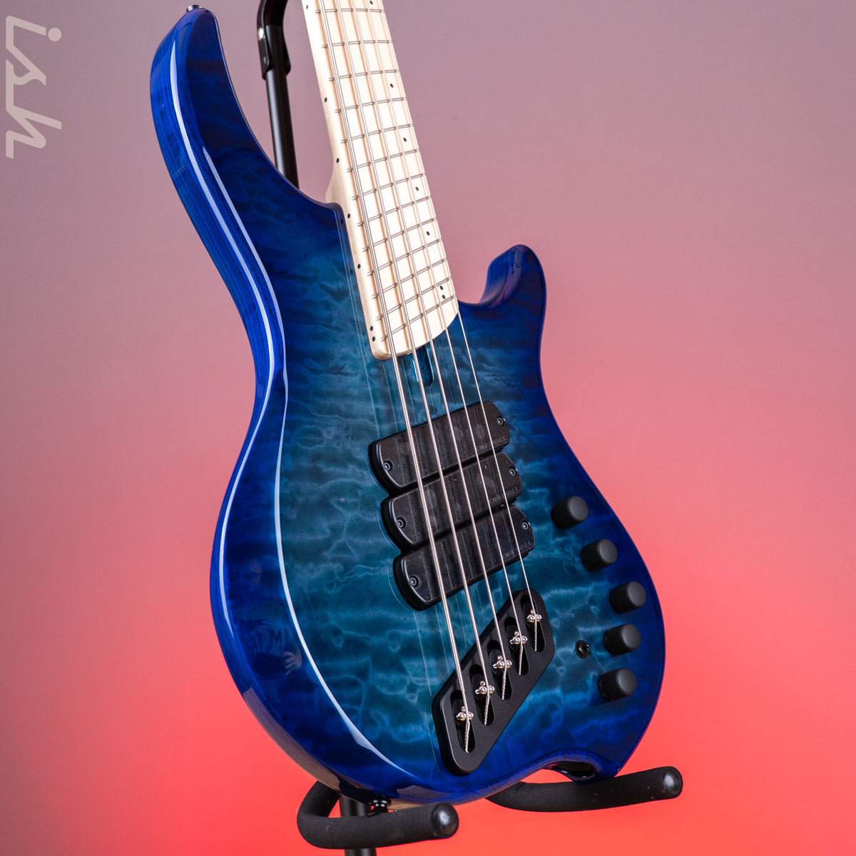 Dingwall Combustion 5-String Bass Indigoburst – Ish Guitars