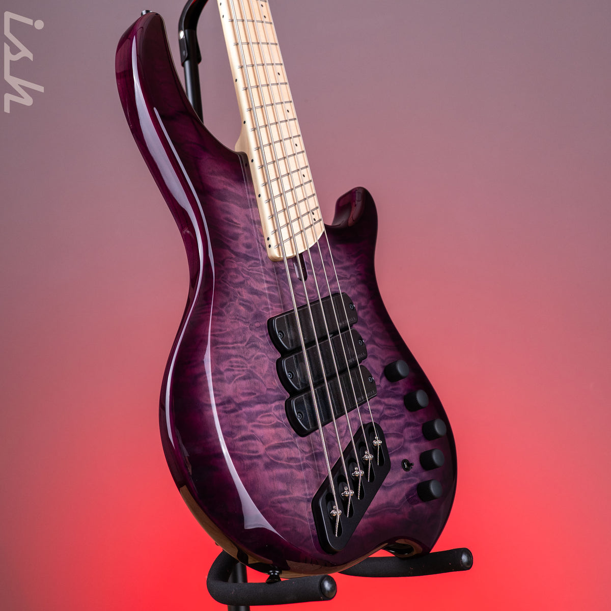 Dingwall Combustion 5-String Bass Ultravioletburst – Ish Guitars