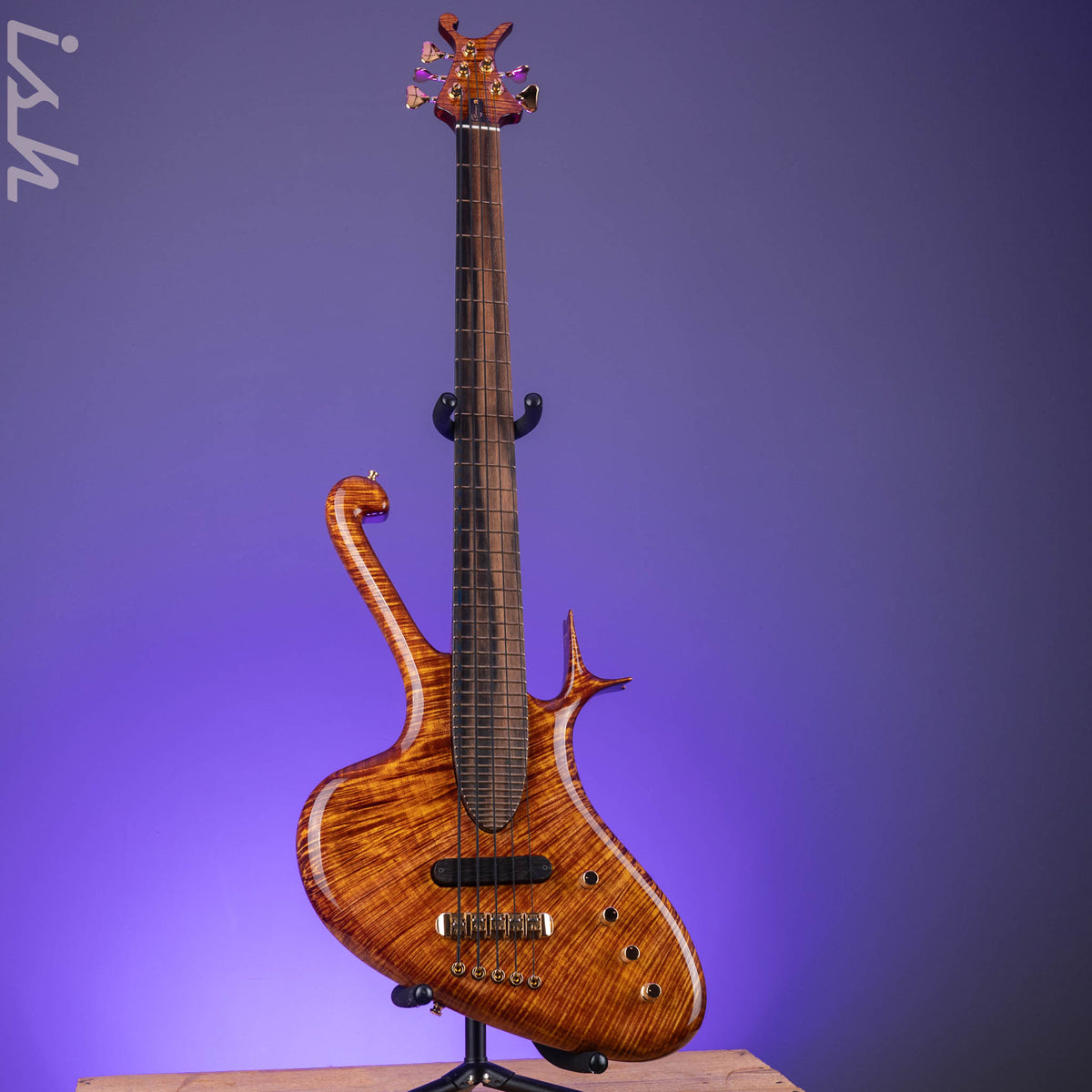 Ritter “The Late Lounge Raptor” 5 String Bass – Ish Guitars