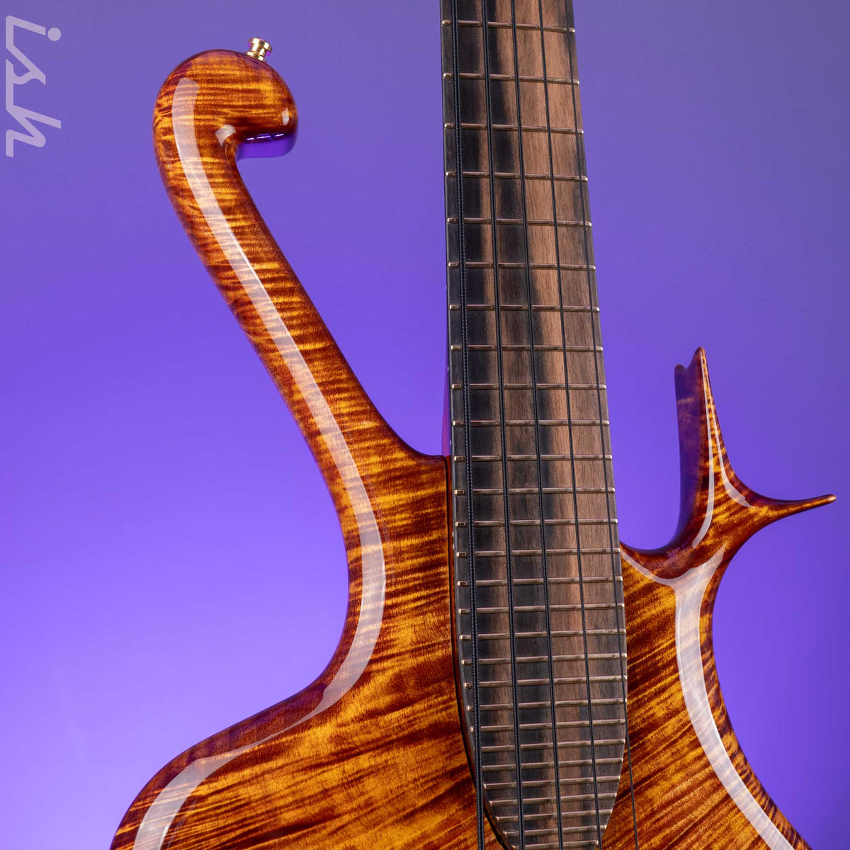 Ritter “The Late Lounge Raptor” 5 String Bass – Ish Guitars