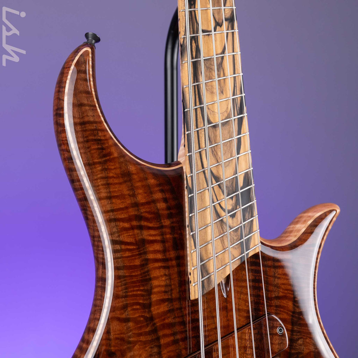 Dingwall Prima Artist Custom Shop 5-String Bass – Ish Guitars