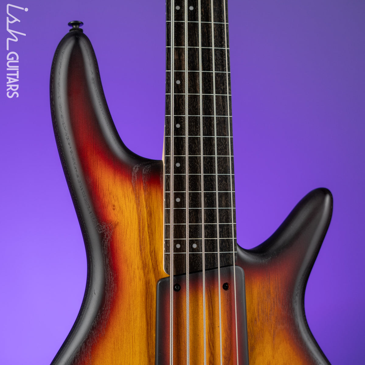 Ibanez GWB205 Gary Willis Signature 5-String Fretless Bass Tequila Sun ...