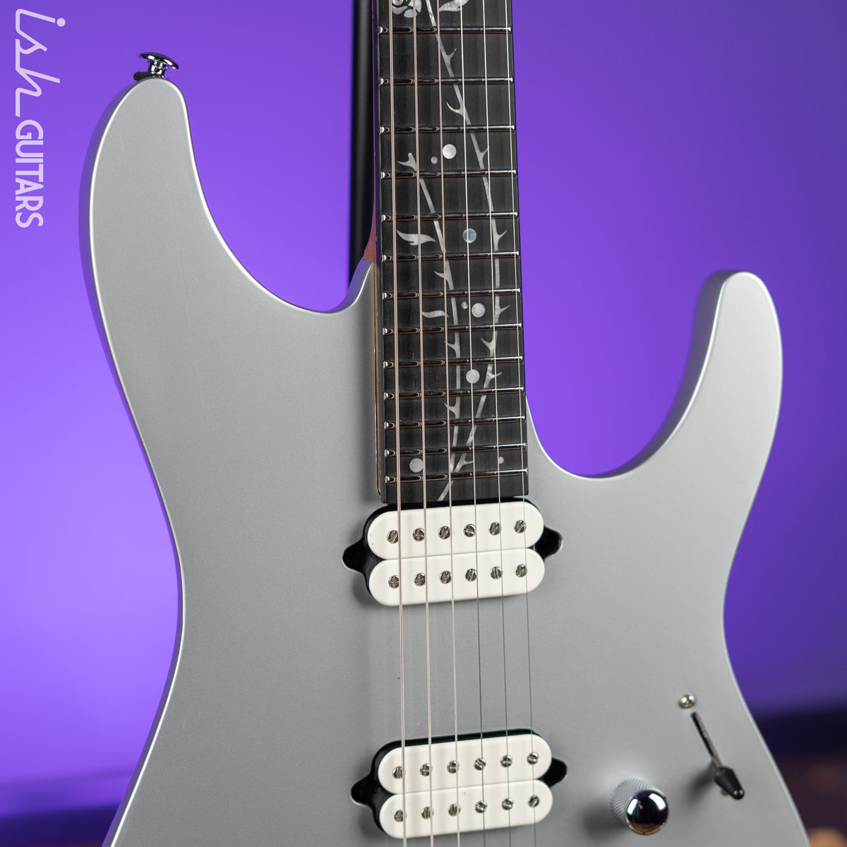 Ibanez TOD10 Tim Henson Signature Electric Guitar Classic Silver Demo ...