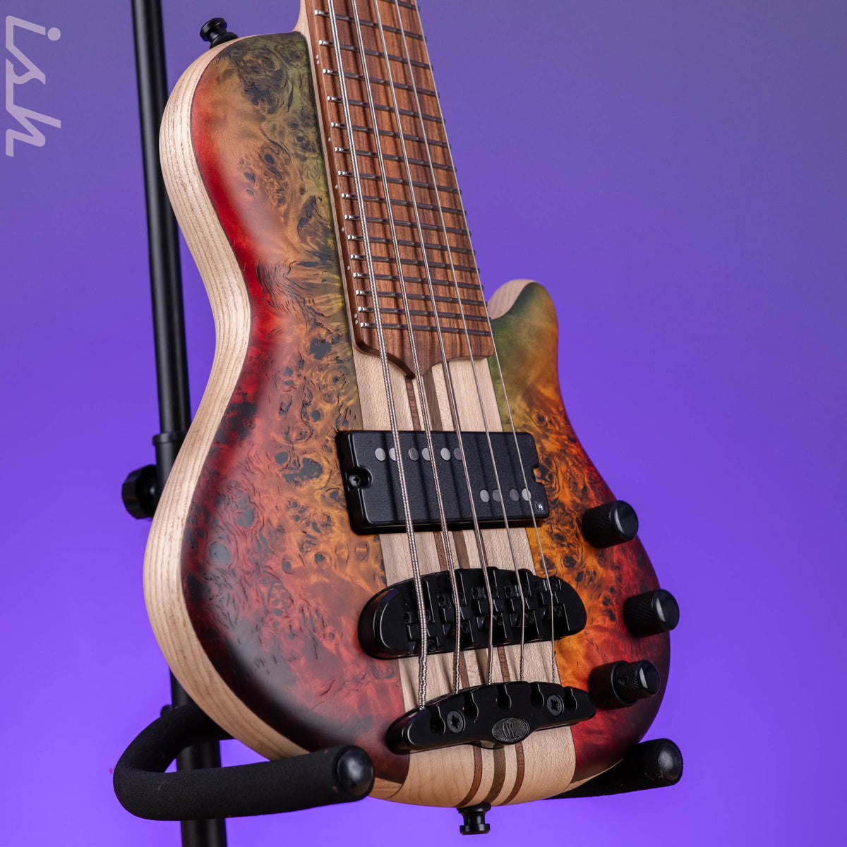 Mayones Cali 5 Mini Bass Curly Poplar – Ish Guitars
