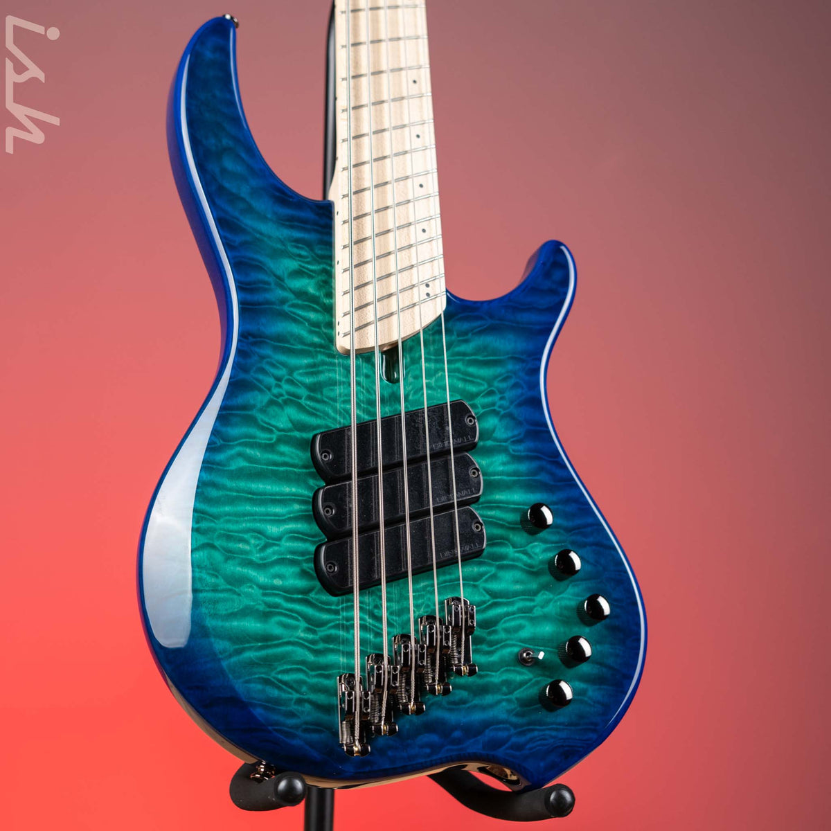 Dingwall Combustion 5-String Bass Whalepoolburst – Ish Guitars