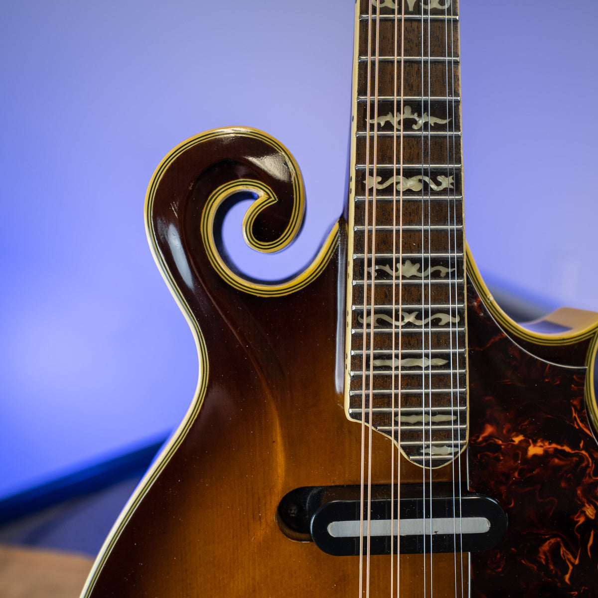 Hondo HM5E Solidbody F-Style Electric Mandolin – Ish Guitars