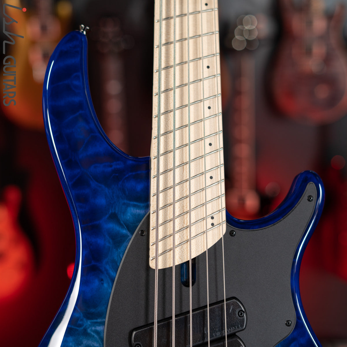 Dingwall Combustion 5-String Bass Indigoburst B-Stock – Ish Guitars