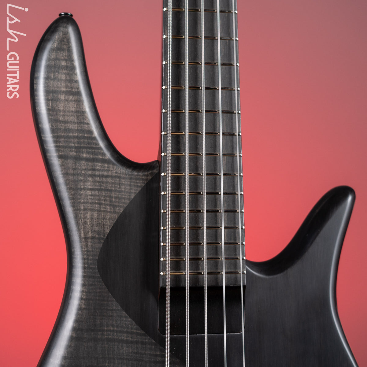 Fodera Ryan Martinie Signature 5-String Bass "Black Beauty" – Ish Guitars