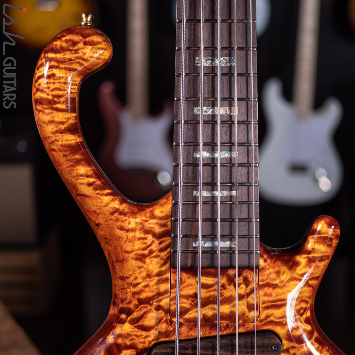 2021 Ritter Roya 5 String Bass Guitar Late Lounge Refurbished – Ish Guitars