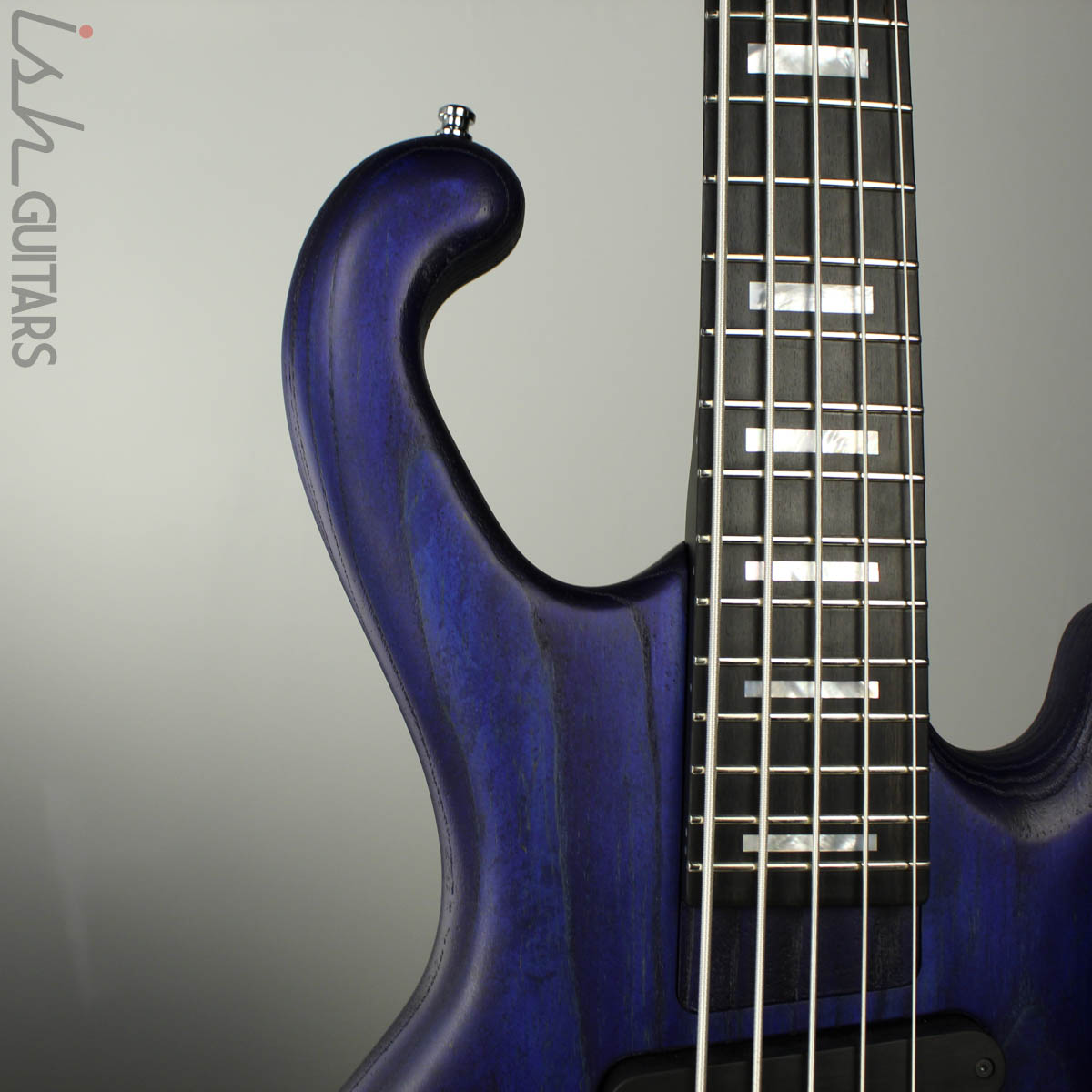 Ritter Cora 5 String Bass Guitar Sandblasted Blue Ash Body Block Inlay ...